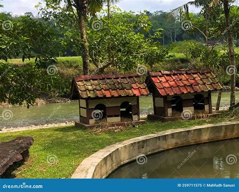 Dos Cobertizos De Ganso Al Borde Del Río Imagen de archivo Imagen de doméstico pata
