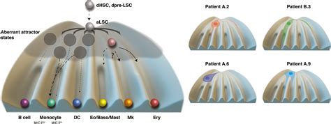 Clonally Resolved Single Cell Multi Omics Identifies Routes Of Cellular