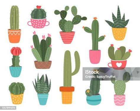 냄비에 선인장 즙이 많은 식물 가정 장식 꽃과 가시가있는 귀여운 만화 정원 선인장 뾰족한 꽃 녹지 식물 꽃 장식 요소 하우스플랜트 벡터 격리 세트 0명에 대한 스톡 벡터