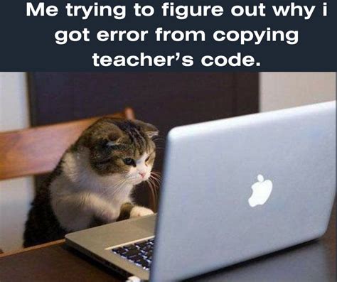 Software Developer On Linkedin Memes Memesdaily