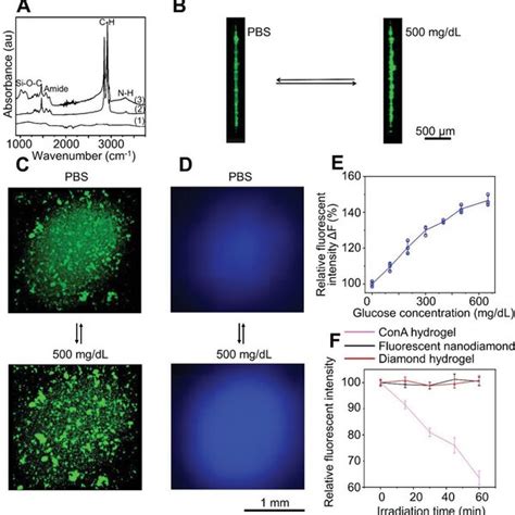 Schematics Of The Microneedle With Fluorescent Nanodiamond Based Download Scientific Diagram