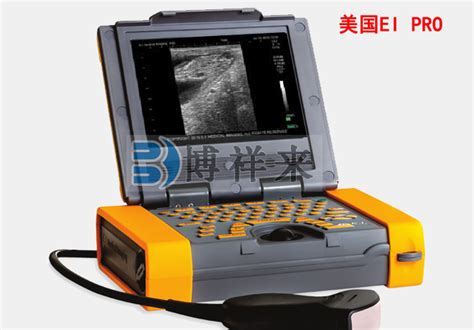 进口兽用B超进口牛用B超羊用B超 猪用B超机 活体采卵仪 原装进口兽用B超
