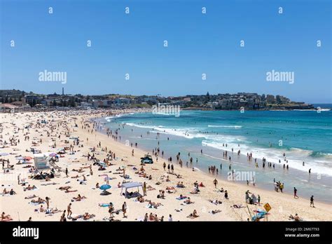 Bondi Beach In Sydney Summers Day 2023 Crowded Beach And People In