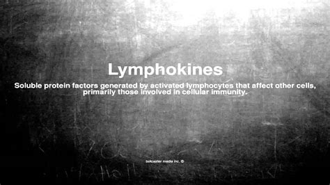 Medical Vocabulary What Does Lymphokines Mean Youtube