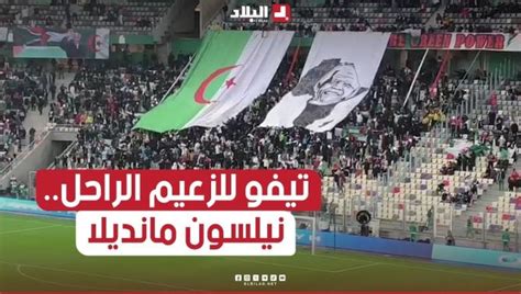 فيديو أنصار الخضر يخصصون لافتة كبيرة بصورة الزعيم الراحل نيلسون