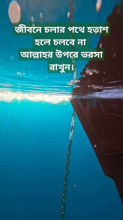 জীবনে চলার পথে হতাশ হলে চলবে না আল্লাহর উপরে ভরসা রাখুন। Love Allah