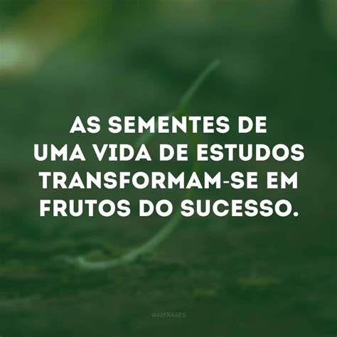 Mensagem Sobre Incentivo Aos Estudos Frases De Motivacionais 300