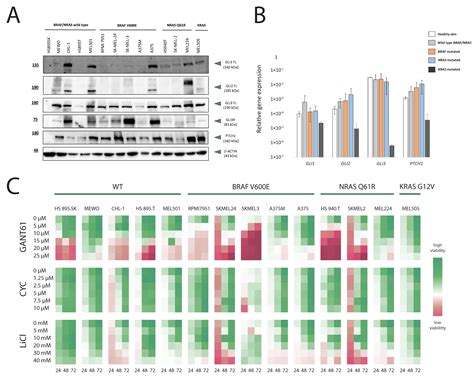 Cancers Free Full Text Rna Seq And Chip Seq Identification Of