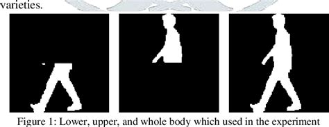 figure 1 from a review of gait recognition based gender classification