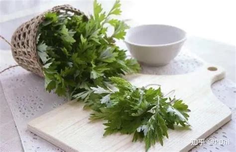 艾叶的功效和作用 知乎