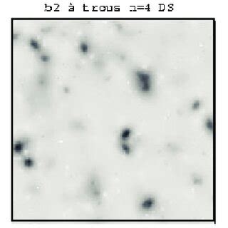 Thè a trous wavelet transform of the b1 image Download Scientific