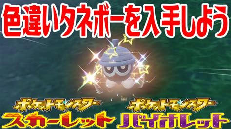 ポケモンSV色違いタネボーを入手しようポケットモンスター スカーレットバイオレット ゼロの秘宝 碧の仮面Pocket