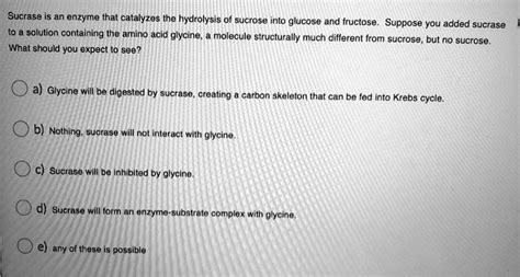 Solved Sucrase An Enzyme That Catalyzes The Hydrolysis Sucrose Inlo