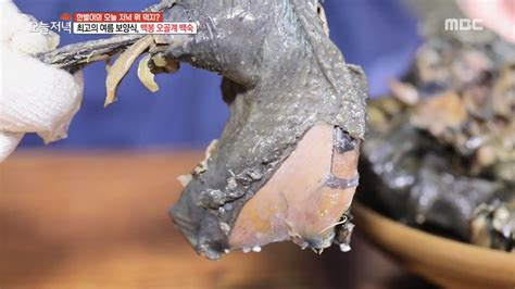 최고의 여름 보양식 백봉 오골계