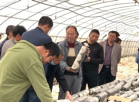 【紫街办】30余名袋料香菇产业大户集中“充电” 镇村动态 留坝县人民政府