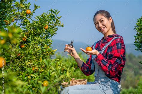 Smiling Young Asian Woman Farmer Working And Inspect Quality Of Ripe