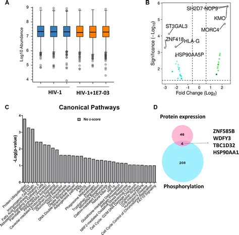 1e7 03 has no effect on host proteins expression a the overall