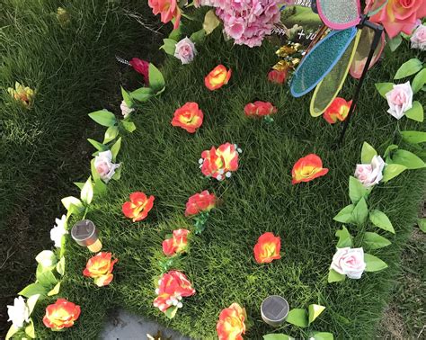 Ginecociencia Dr Jaime Barrios Nassi El Sueño De Una Sombra