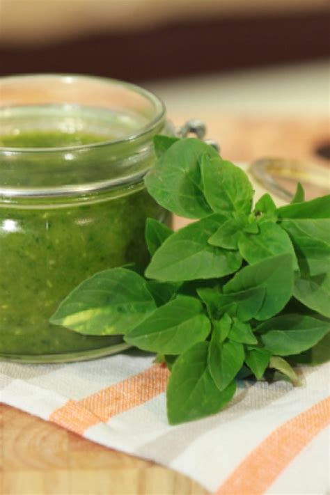 Basil Pesto Sauce Yiannis Lucacos