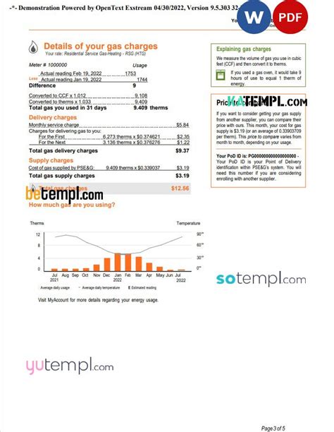 Usa New York Pseg Utility Bill Word And Pdf Template 5 Pages Katempl