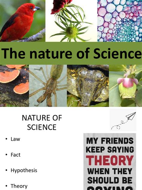 Science In English Weeks 1 2 3 Pdf