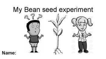 My Bean Experiment By Fozia Eggeh Teachers Pay Teachers