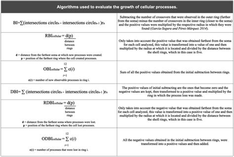 Morphologic Parameters Evaluated In Sholl Analysis Cell Lines