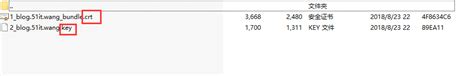 Nginx Https