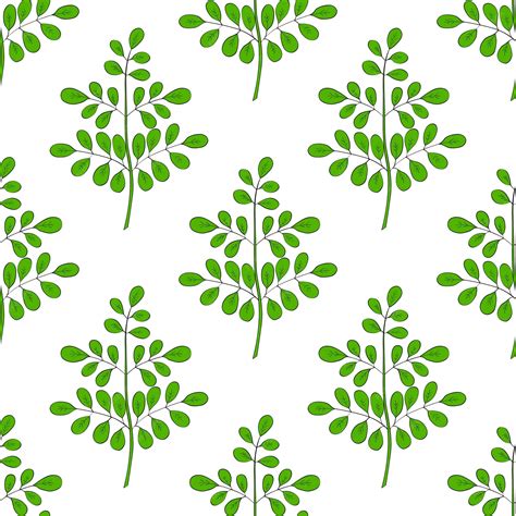 Premium Vector Moringa Oleifera In Color Seamless 1