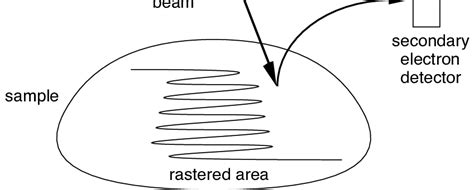 principle of sem scanning electron microprobe a primary electron