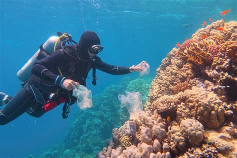 Protecting The Great Barrier Reef Ultimate Guide To Conservation