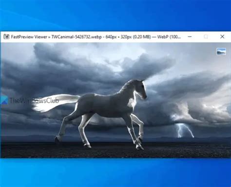 Free Webp Viewer Software For Windows 1110 Pc