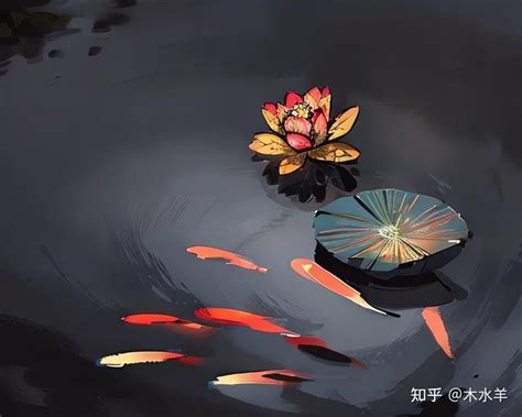 观赏鱼｜我听到了很多声音，但并不妨碍“鱼之乐” 知乎