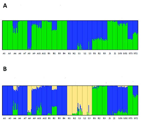 Structure Analysis Based On The Full Snp Dataset Assuming A Two