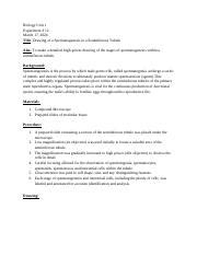 Exploring Spermatogenesis In Seminiferous Tubules A Detailed Course Hero