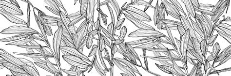 꽃과 식물 라인 아트 배경입니다 여름 톤 와 열대 잎 와 잎 와 올리브 가지 가지 벡터 배너 인쇄물 포스터 벽 예술에 대 한 벽지 고풍스런에 대한 스톡 벡터 아트 및 기타