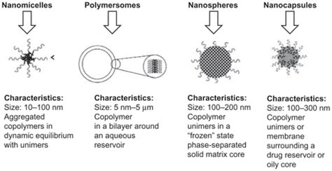 Full Article Recent Advances In Pegpla Block Copolymer Nanoparticles