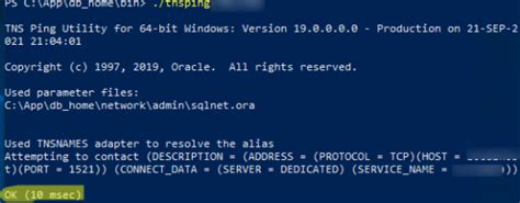 Sql Developer Use Tnsnamesora File For New Connections Theitbros