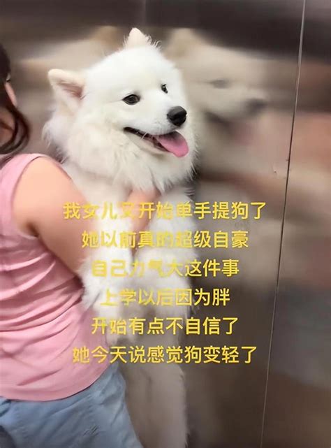 “先天健身圣体”小女孩学游泳了，傅园慧称天赋顶级，女孩妈妈：教练说她的腿像螺旋桨