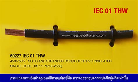 สายไฟ Iec 01 Thw