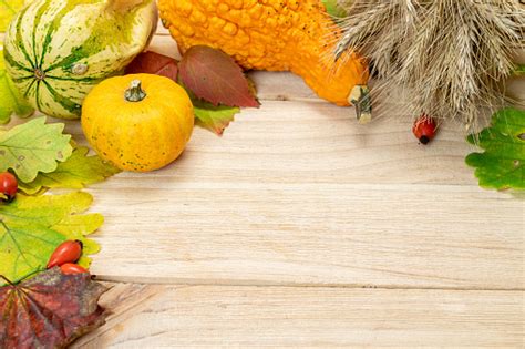 가을 무늬 호밀 스파이크 오렌지 호박 가을 말린 잎 붉은 열매와 도토리 나무 배경에 밤과 자연 수확 아름다움 밝은 가을 자연 배경 수확 10월에 대한 스톡 사진 및 기타