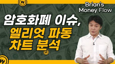 머니플로우통합본 암호화폐 이슈 및 엘리엇 파동 차트 분석 비트코인 브라이언김 엘리엇파동 Youtube