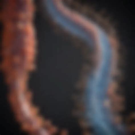 The Role Of Protein Synthesis In Biological Systems