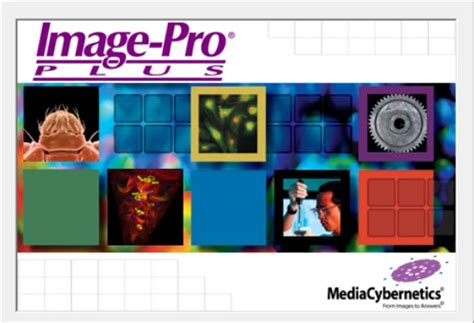 Wb条带灰度分析软件盘点总结，ipp、image J Fiji、quantity One 哔哩哔哩