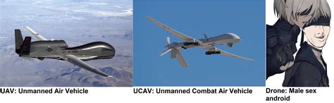 The Etymological Origin Of Naming A Class Of Airplanes After An Animal