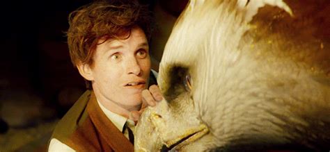 Newt Scamander S Reading List