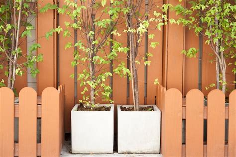 Premium Photo Tree And Fence