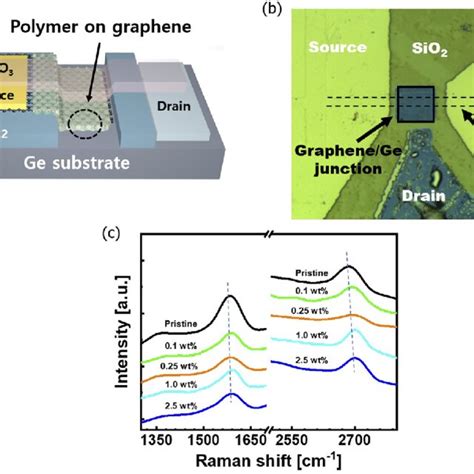 A Schematic Image Of The Graphene Ge Photodetector B Optical Image Download Scientific