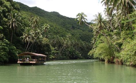 Illegal Logging Killing Philippine Forests Oped Eurasia Review