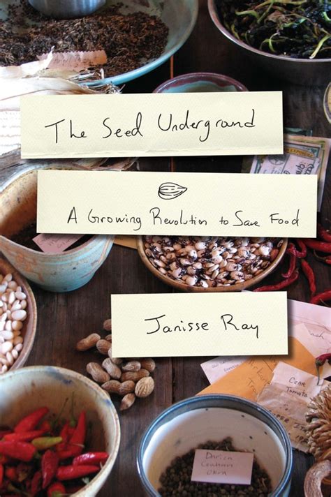 Mummy Wheat And 800 Year Old Squash Seeds The Weird World Of Seed Saving